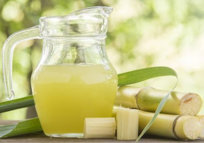 20 BRAVOLTZ BLOGGIE: JENIS - JENIS TEBU DI MALAYSIA