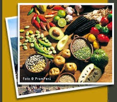 Historia y Geografía: Economía incaica