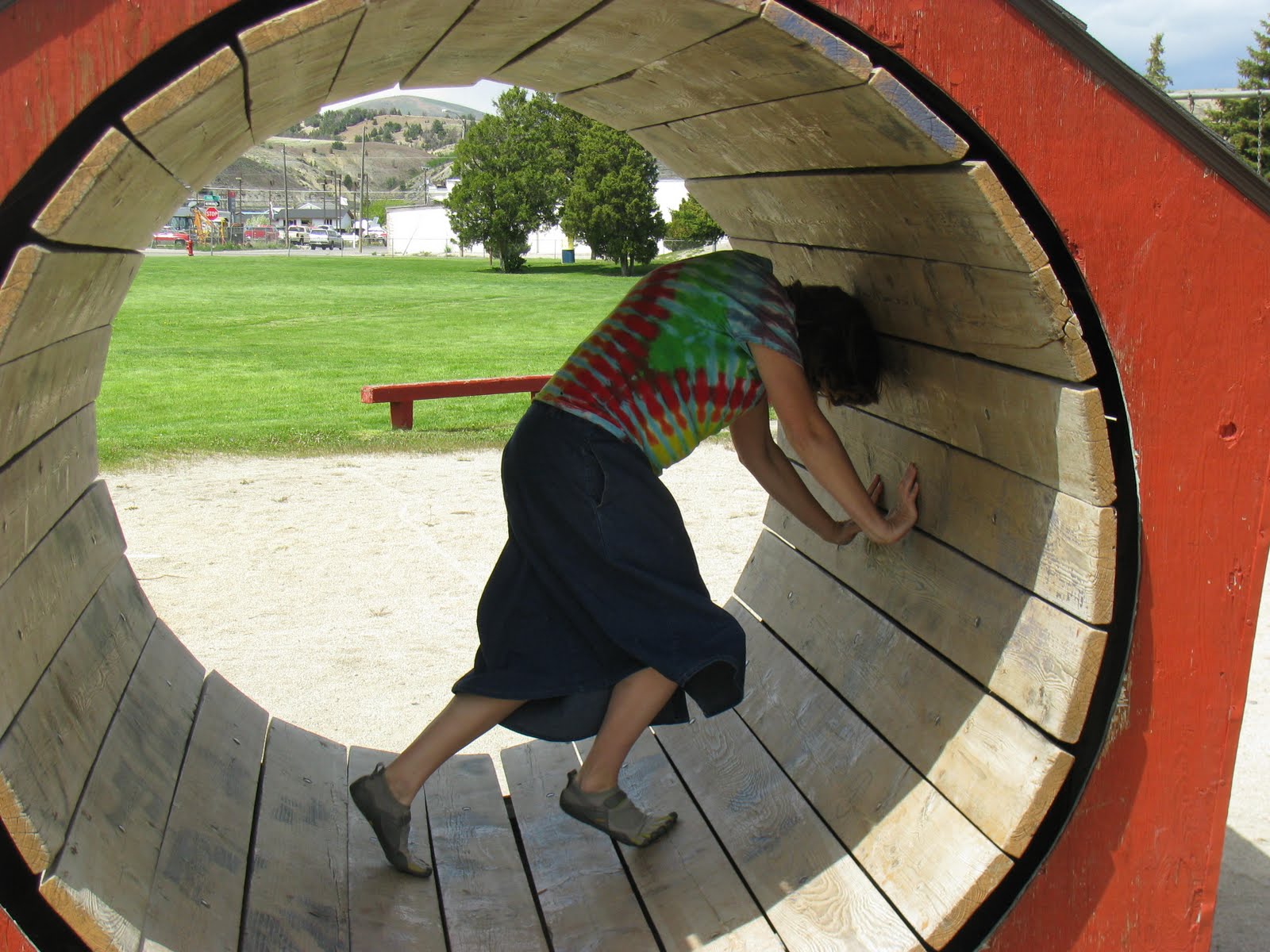 Human Hamster Wheel