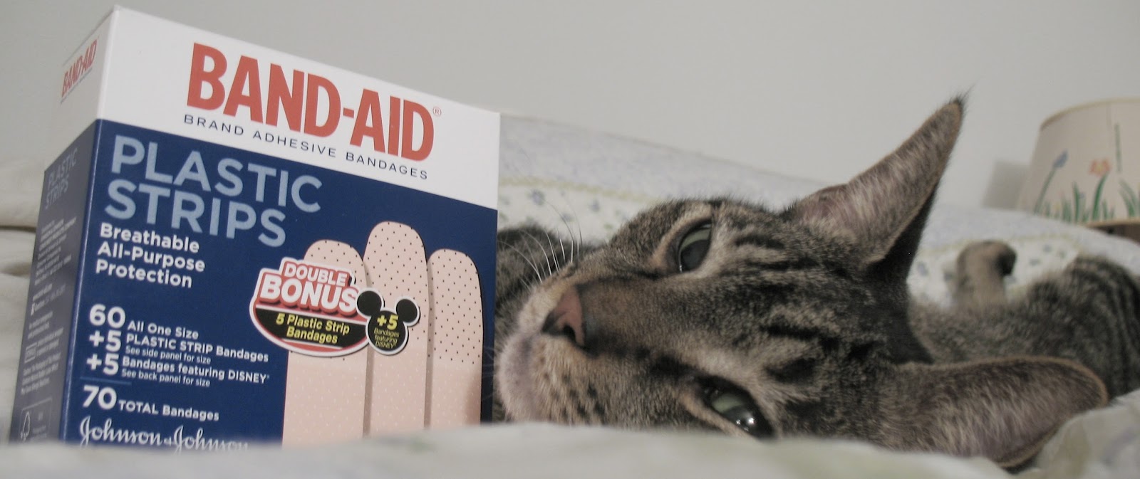 Bigger Band-aids - Momma Kat and Her Bear Cat