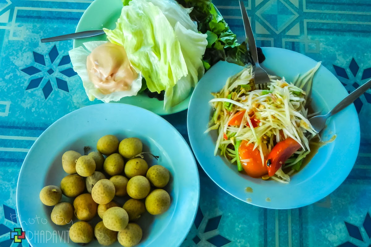 สวนสุภัทราแลนด์ (Suphattra Land) สวนบุฟเฟ่ต์ผลไม้ - ที่เที่ยวบล็อก