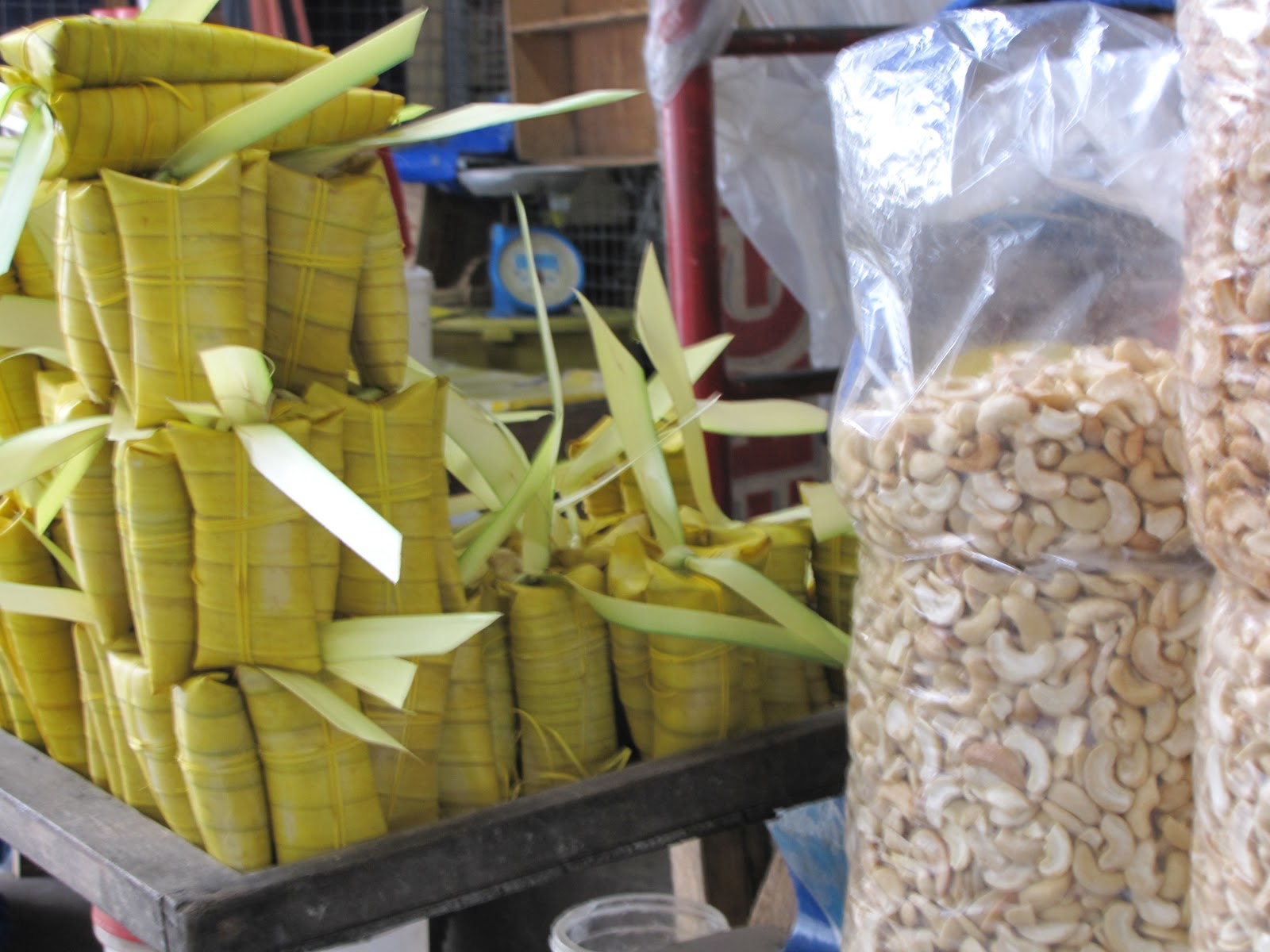 Faith Under the TIPOLO tree | LOL! WTF?