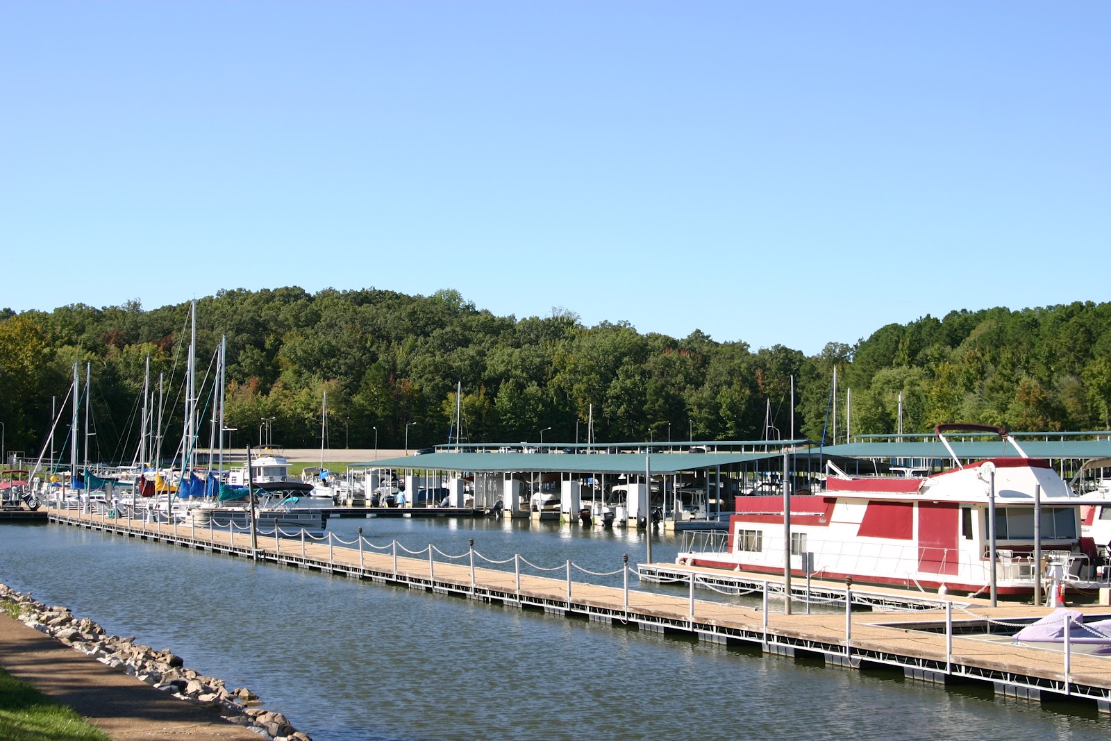 2 Loopers And A Portie