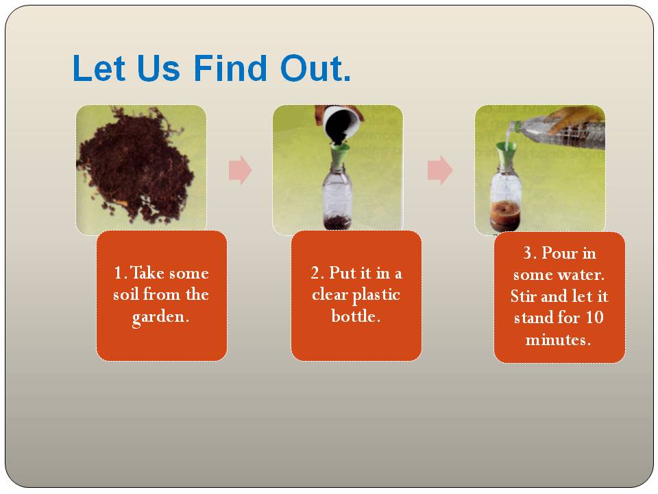 SOIL | Science Year 3