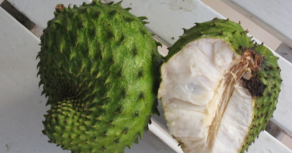 Conheça os 9 benefícios da Graviola para sua saúde ~ Mais Saúde e ...