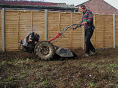 HOW TO GROW A LAWN FROM SEED |The Garden of Eaden