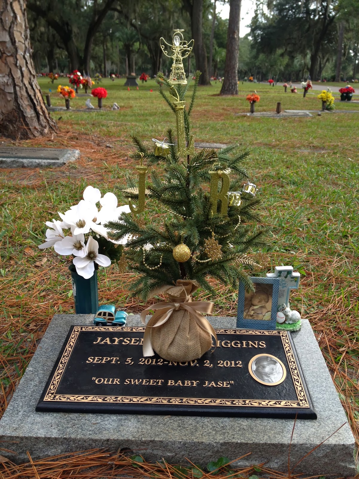 Jaysen Lyric Riggins ~ My Trisomy Angel
