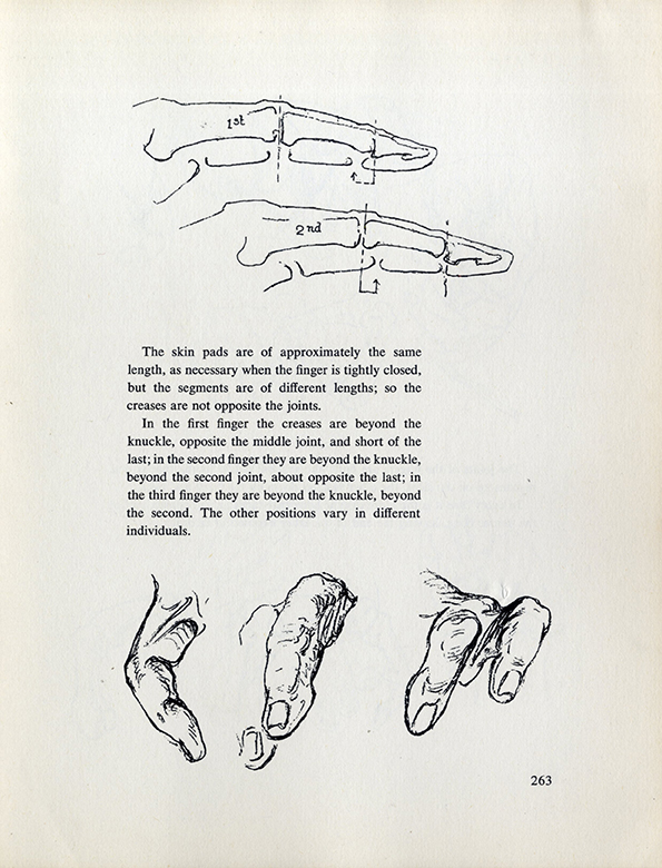 Research of Artistic Anatomy: George B. Bridgman “BRIDGMAN’S COMPLETE ...