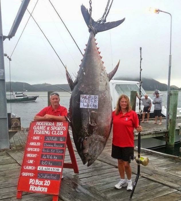 World Of Technology: Woman Catches a Big Tuna Fish (6 pics)