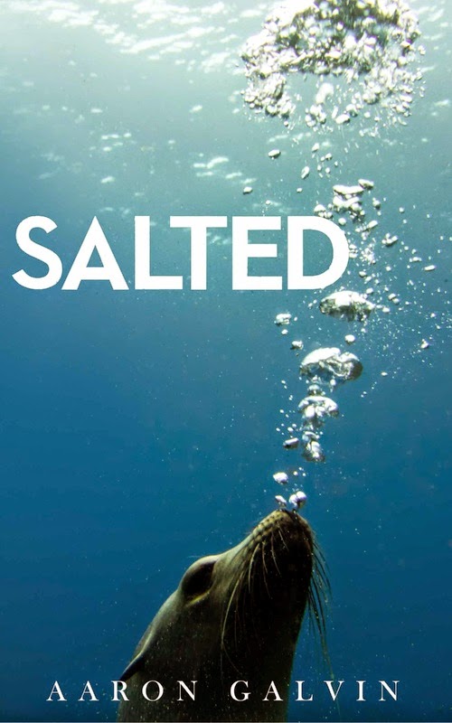 Satisfaction for Insatiable Readers: Salted by Aaron Galvin