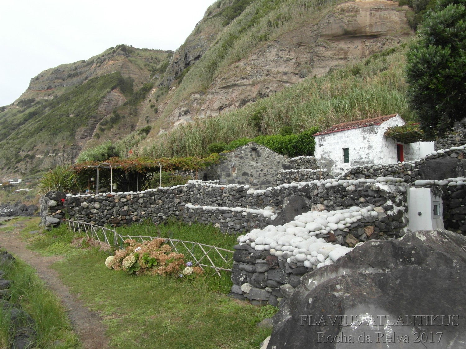 FLAVIUS ATLANTIKUS: Rocha da Relva - S. Miguel Island - Azores - Portugal