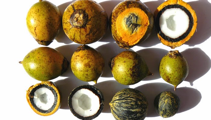 Brincando De Cozinhar E Cia Segunda Saudável Tucumã