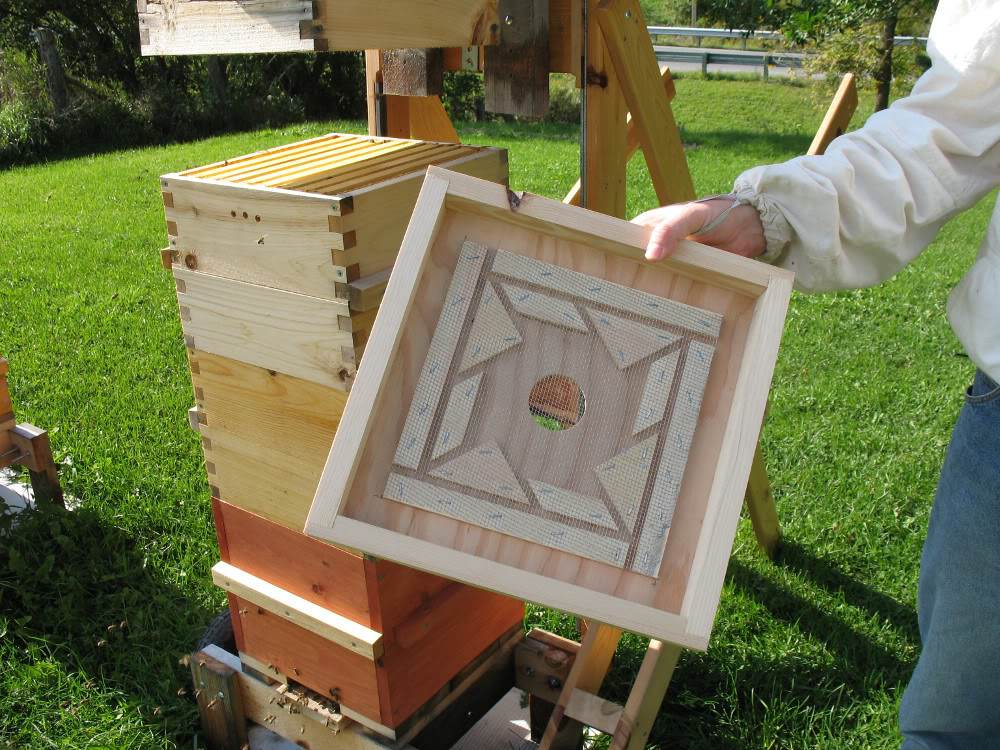 Corona Apicultores: LA VENTILACIÓN DE LA COLMENA