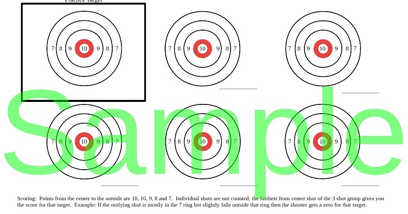 Precision Target Shooters: Target 201826