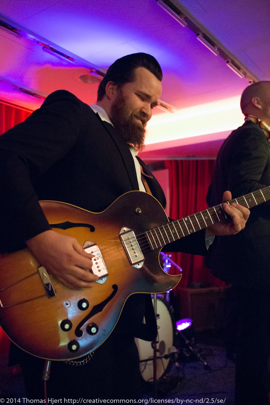 Thomas Hjert's Musikbilder: 2014