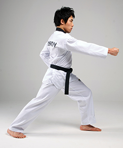 Jireugi, poin-poin latihan dan penilaiannya ~ DEMOS Martial ARTS School