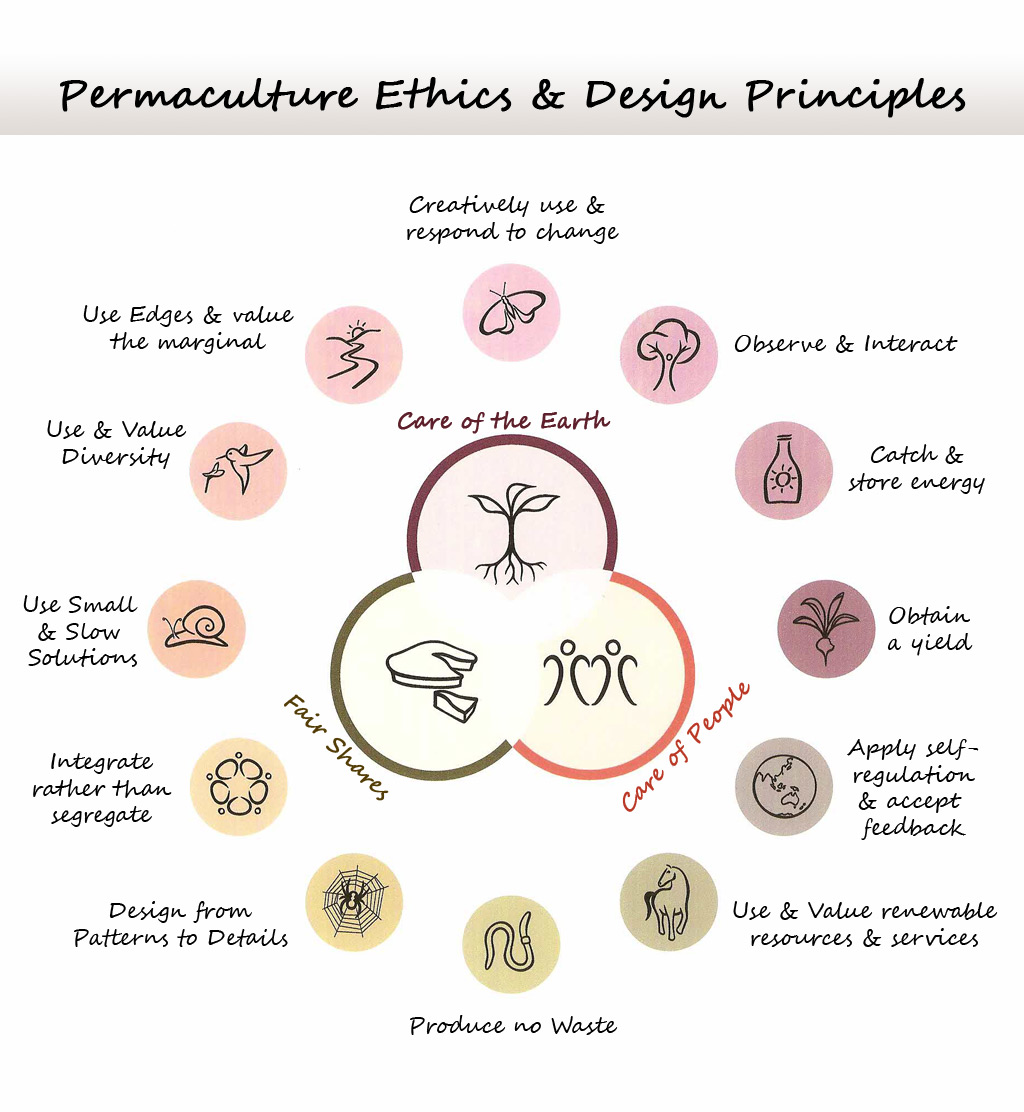 12 Permaculture Design Principles