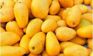 Varieties: There are large number of Mango varieties found in India ...