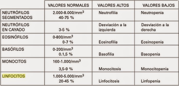 Prácticas Hematología: Práctica 19: Fórmula leucocitaria. (PXXVIII)(B1).