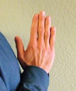 Cosmic Healing: MEDITATE WITH GASSHO