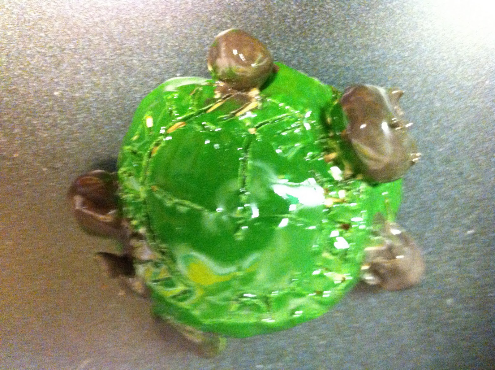 Clay Work: Knee Turtles - Fairy Dust Teaching