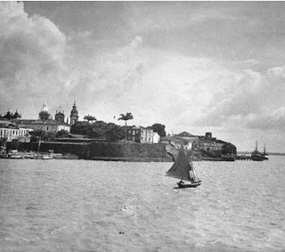 S T R A V A G A N Z A: HISTÓRIA DA CRIAÇÃO DE GADO NO PARÁ