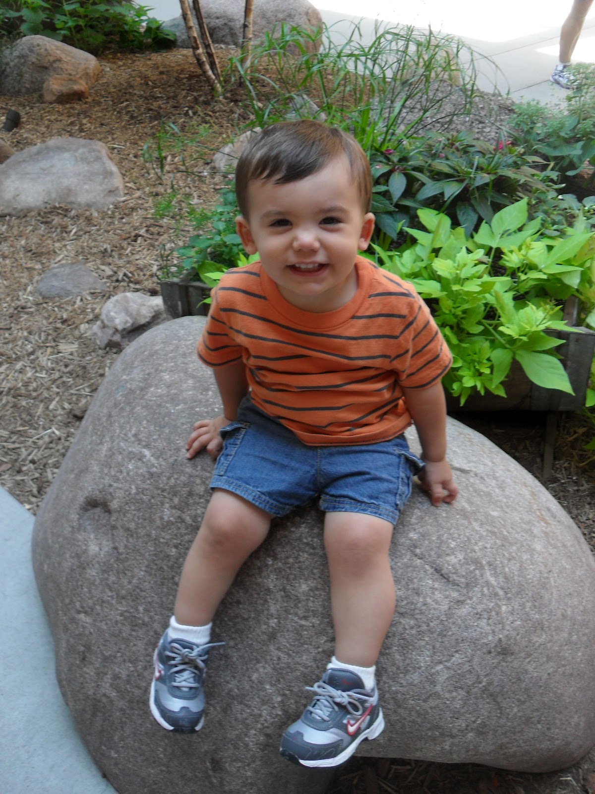 Memorizing the Moments: Sparkabilities