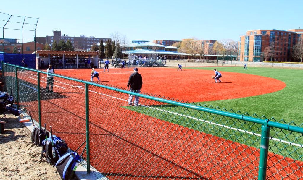 Softball, Physical Activity, Health, and Life in General: Basic ...