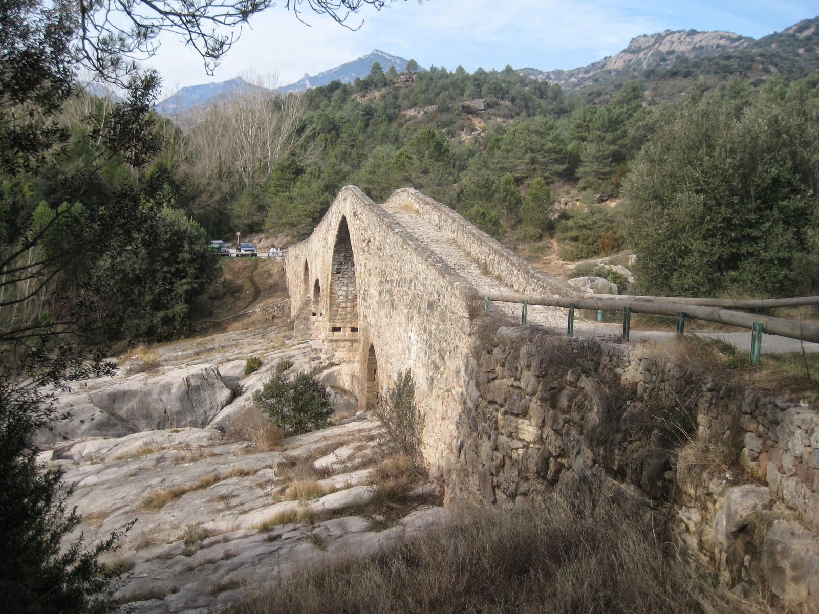 Salvatgia: PONT DE PEDRET