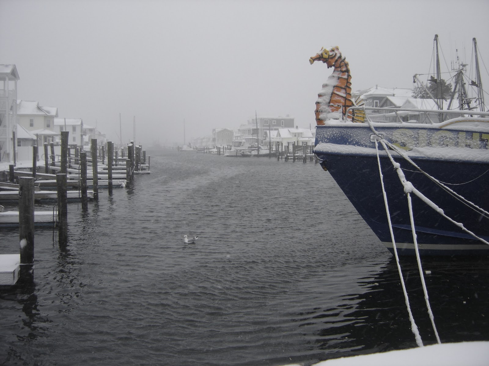 Wildwood Weather: Snowy Sunday - First Snowfall of 2019