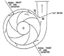 Boiler and Turbine: The Function of the Volute