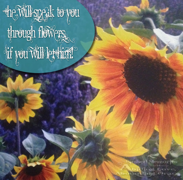 Abiding Love, Abounding Grace: Sunflowers, Prayer Walks, and How He ...