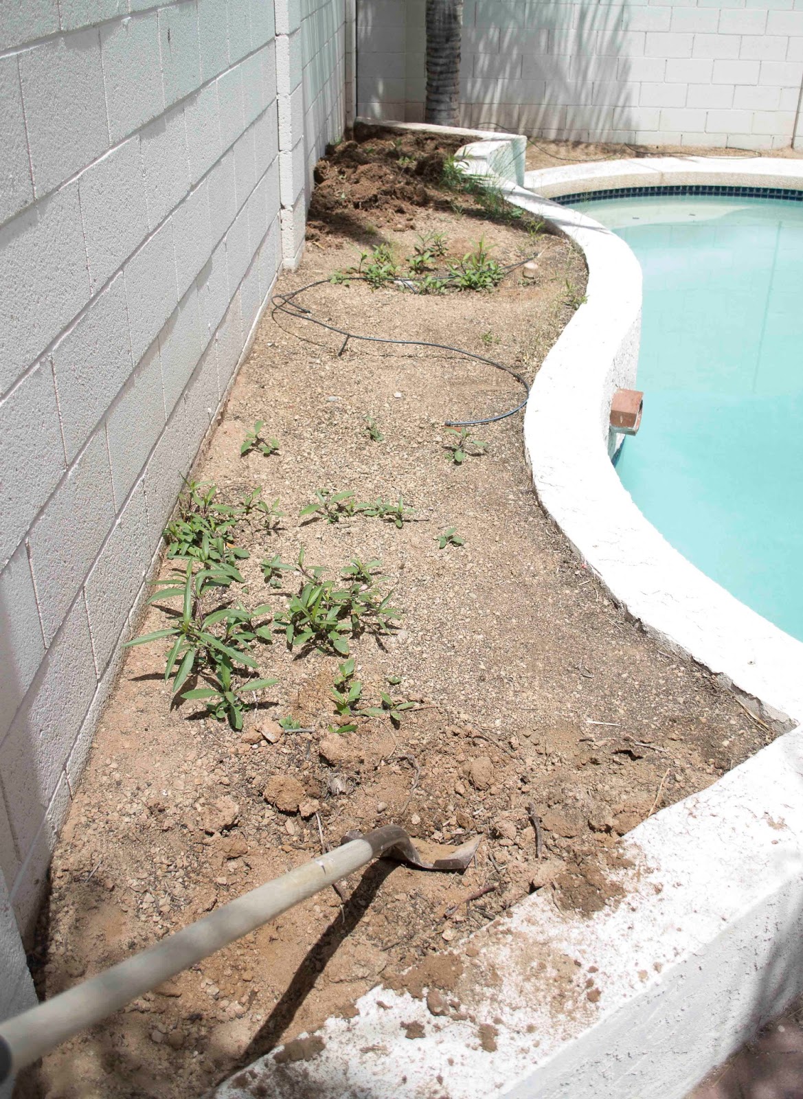 heidi schatze: Digging & Digging & Digging