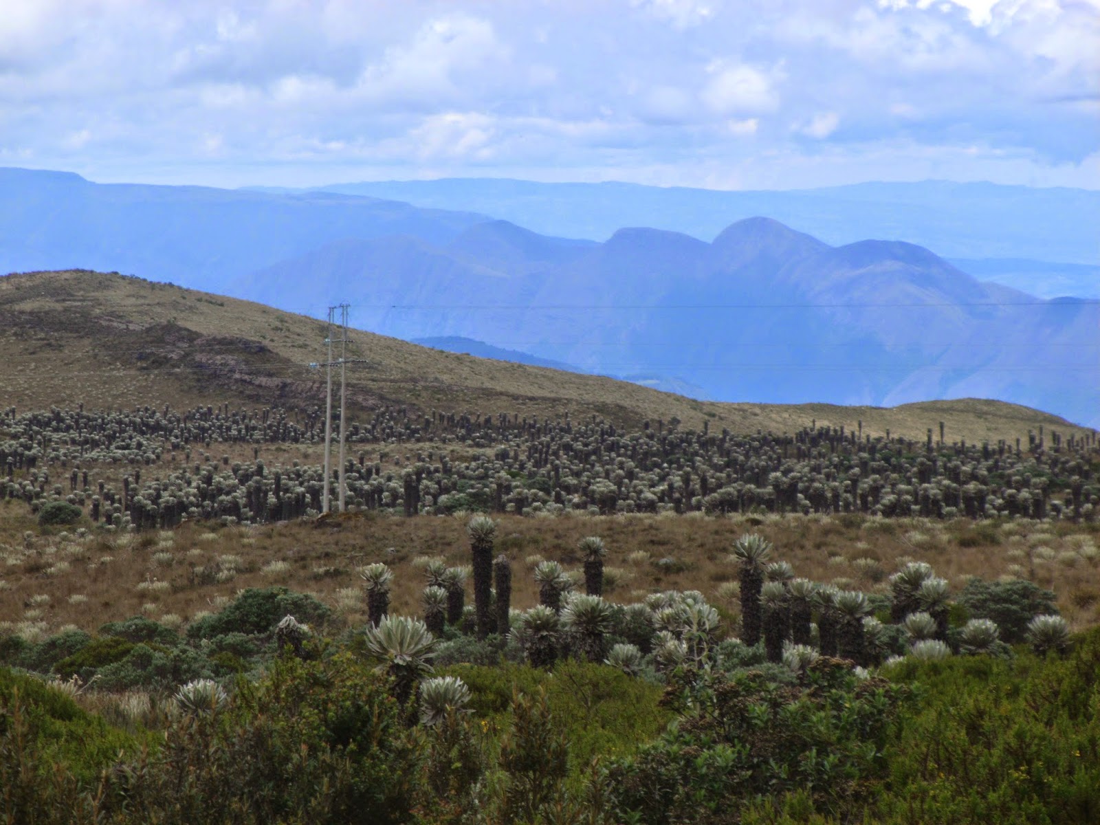 CHARALA, HERMOSO MUNICIPIO DEL DEPARTAMENTO SANTANDER COLOMBIA: TURISMO ...
