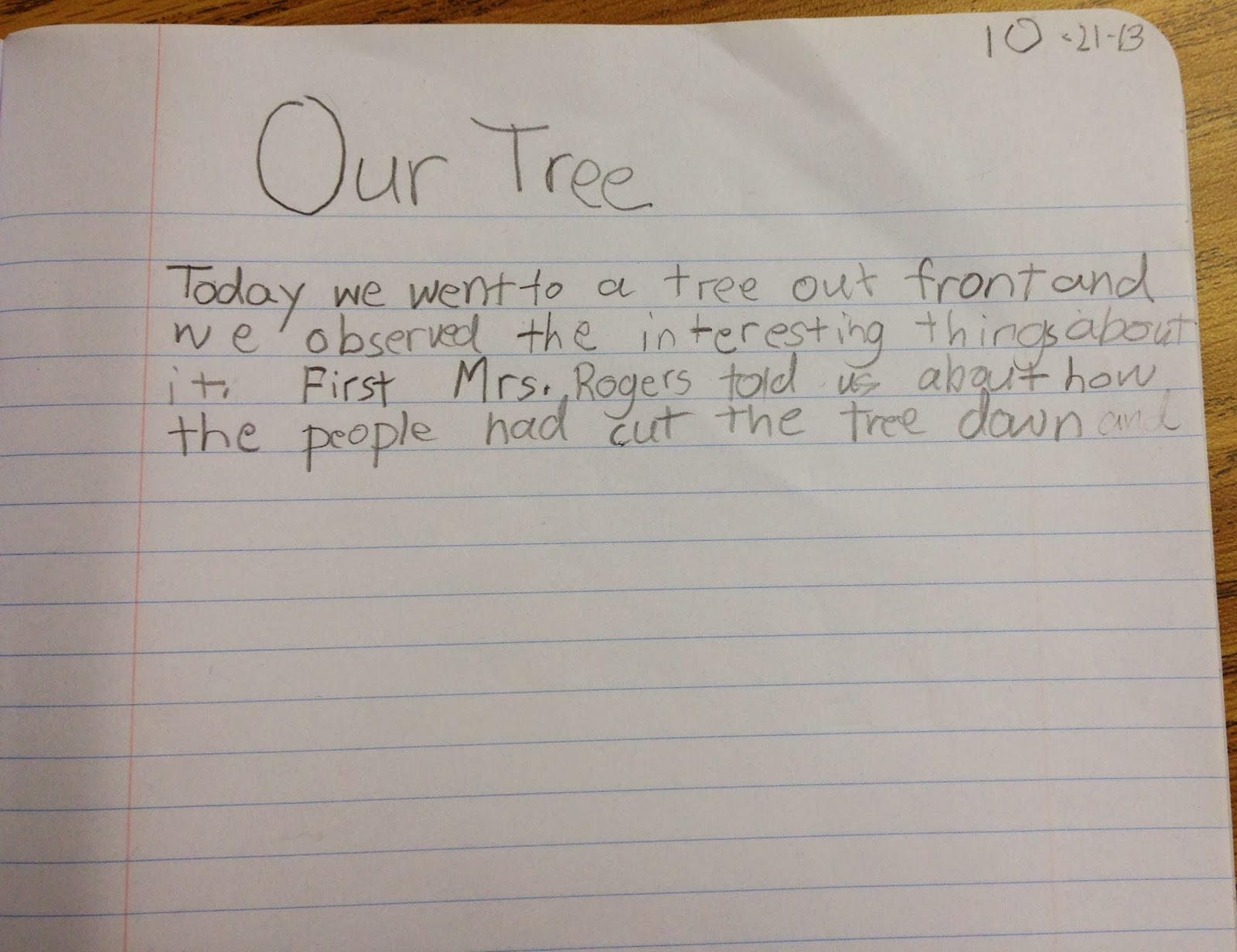 Writing Workshop in 2nd grade: Cycle 3- Writer's Notebook