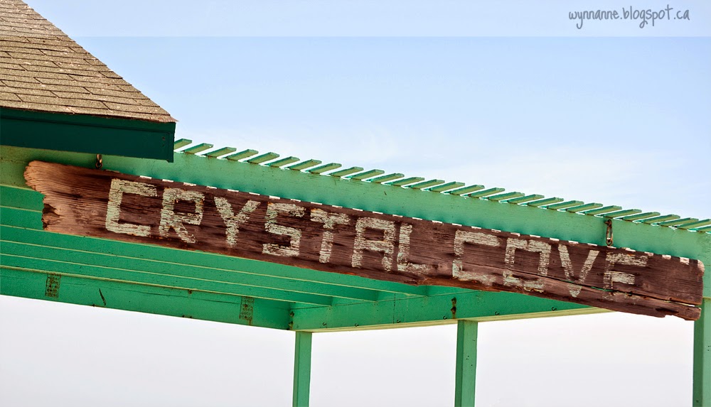 Wynn Anne's Meanderings: California: Beachy