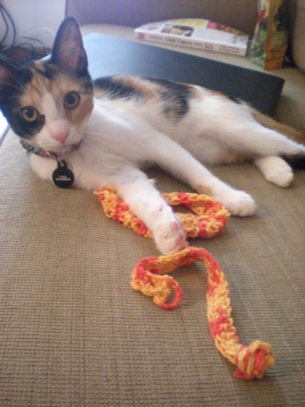 NyanPon.com: Kitty Harness Recipe