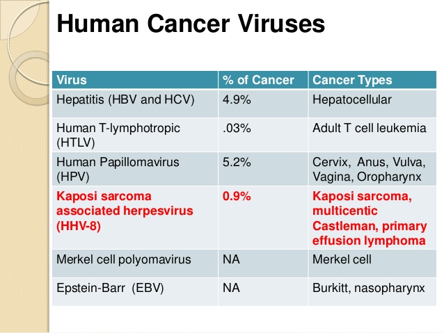 Viruses and Cancer