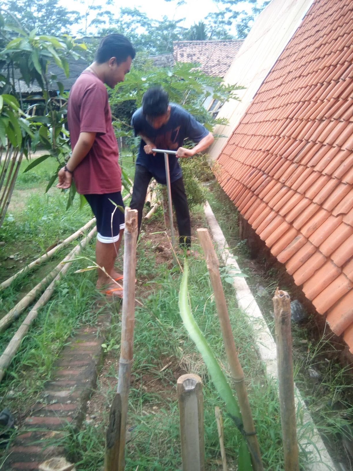 Revolusi Sebatang Bambu : Edisi Membentuk Generasi Emas Hijau dan ...