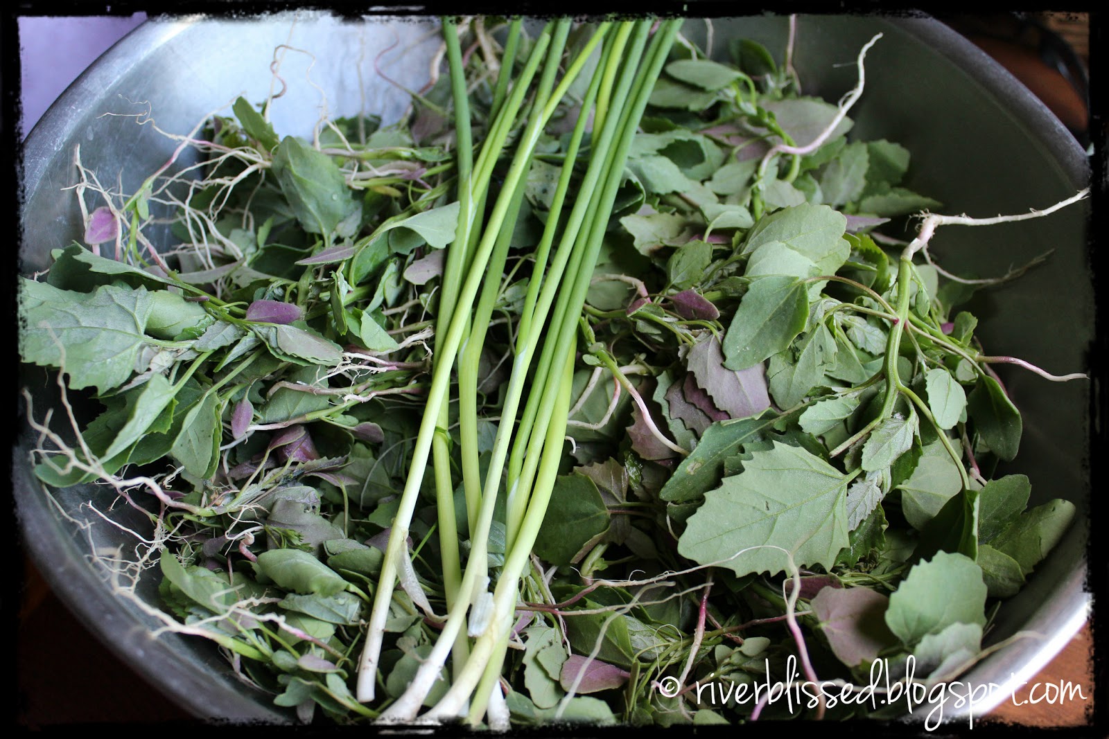 River Bliss: Improvising and Foraging