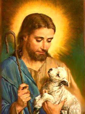 Jesús te amo más que a mi mísmo: DIFERENCIAS ENTRE EL LOBO Y LAS OVEJAS