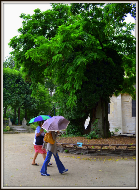 The Story of the Oldest Tree in Paris ~ Invisible Paris