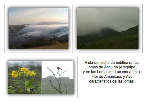 APUNTES - REVISTA DIGITAL DE ARQUITECTURA: TRANSFORMACION DEL PAISAJE ...