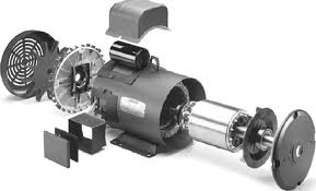 Double cage induction motor