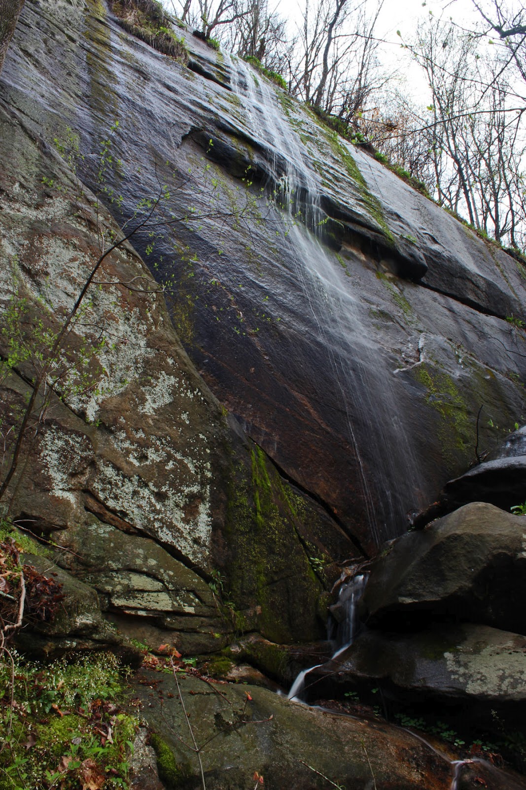 The Adventures of Bushwhack Jack: Waterfalls of the Chestnut Ridge ...