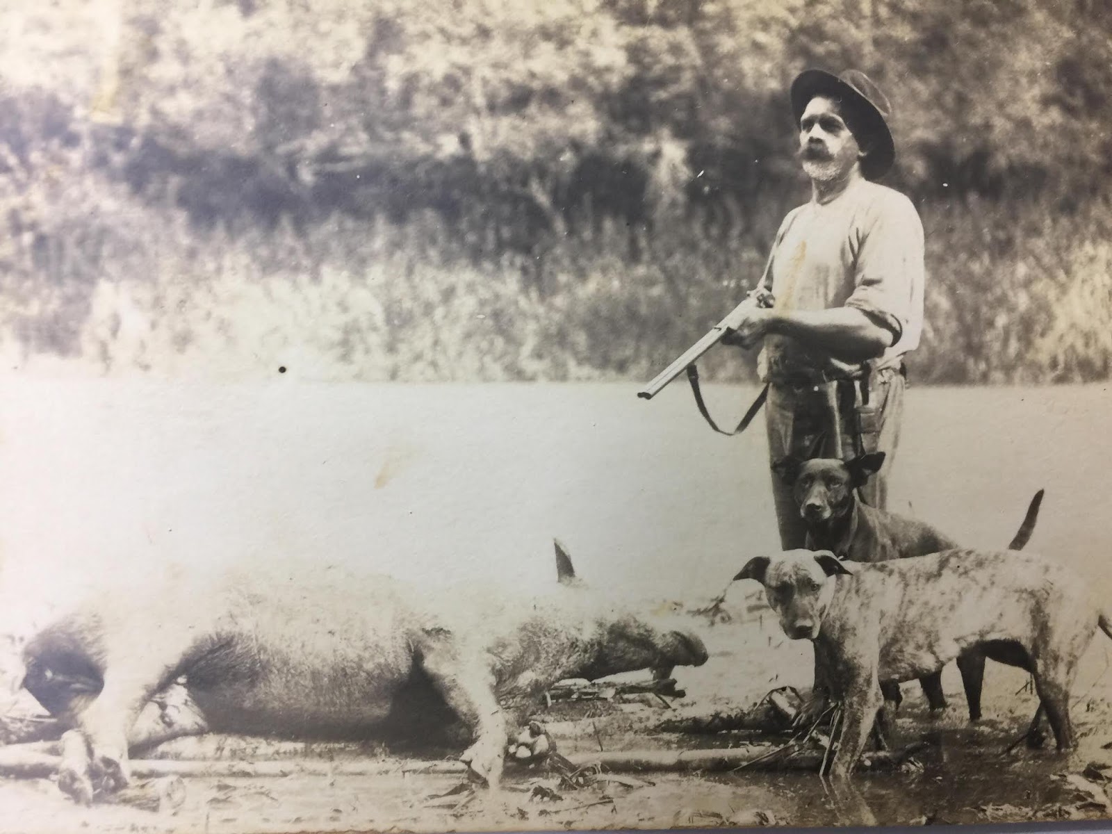 Famílias Imigrantes: Família Wander