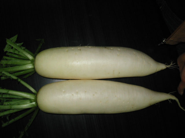 White Radish - Fruits And Vegetables