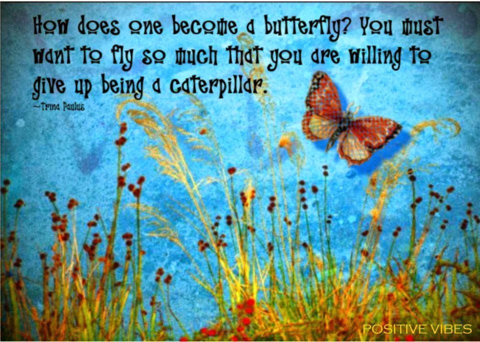 Inspirational and Motivational Quotes about Butterflies - Butterfly ...