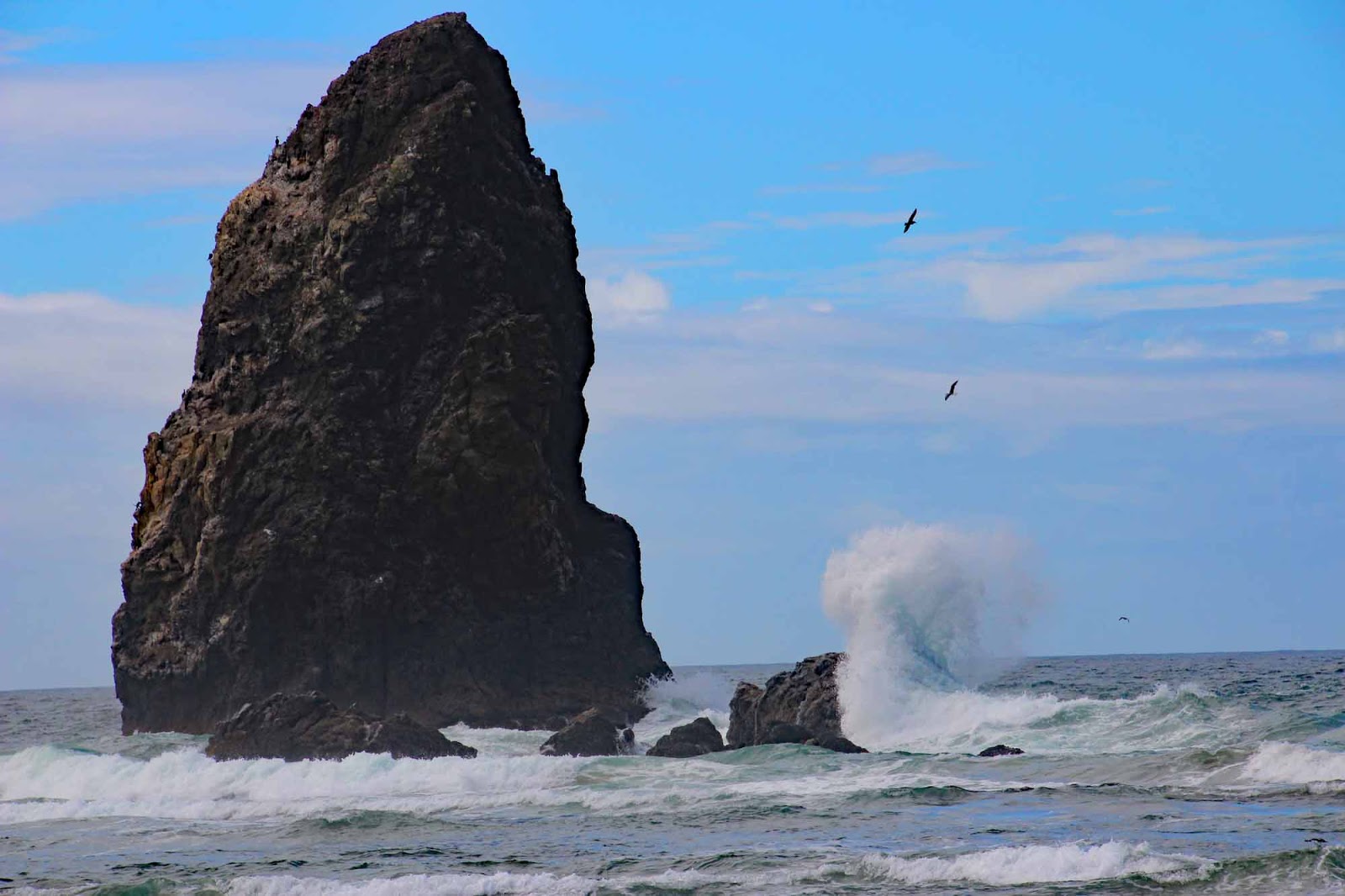 The Adventures of Bushwhack Jack: 2016-09-02 - Jack and Amys Oregon ...