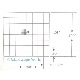 Microscope World Blog: Microscope Reticles